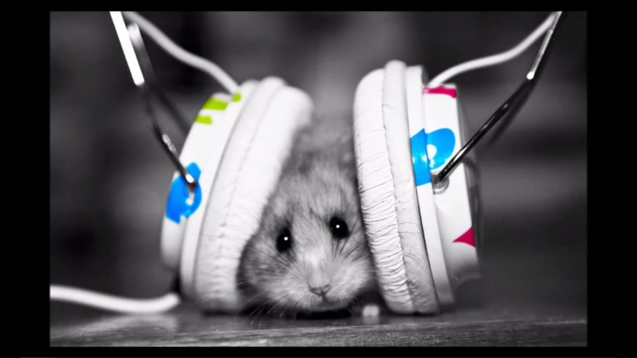 Daim Son Whered You Find This - YouTube