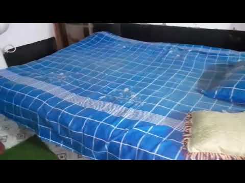 I bought this bed from the market today. Look.
