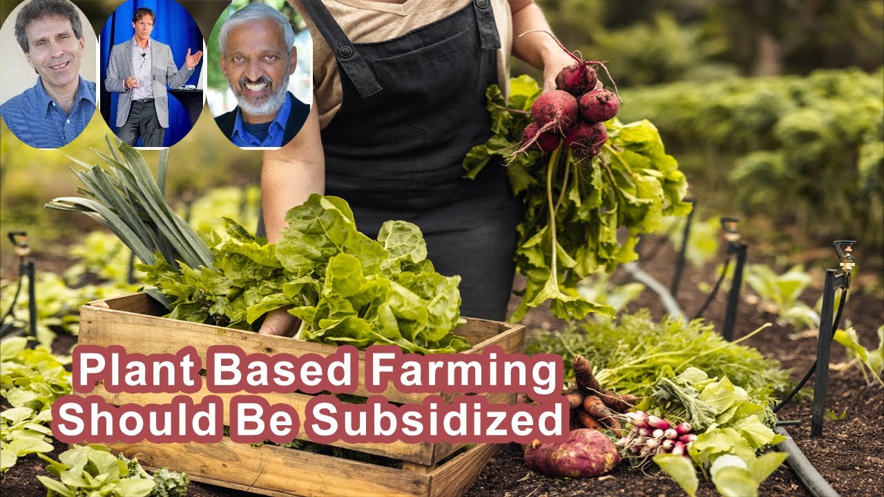 Why Plant Based Farming Is The Agriculture That Should Be Subsidized ...