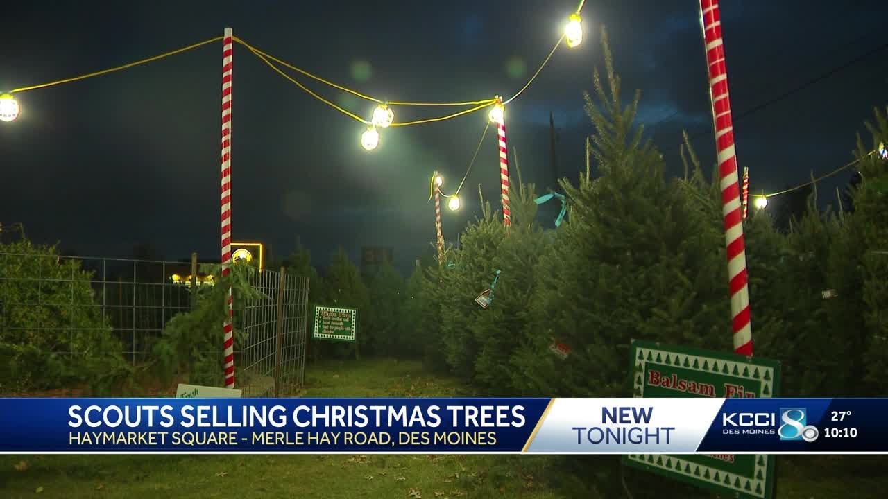 Scouting America troops hosting Christmas tree lot in Des Moines - YouTube
