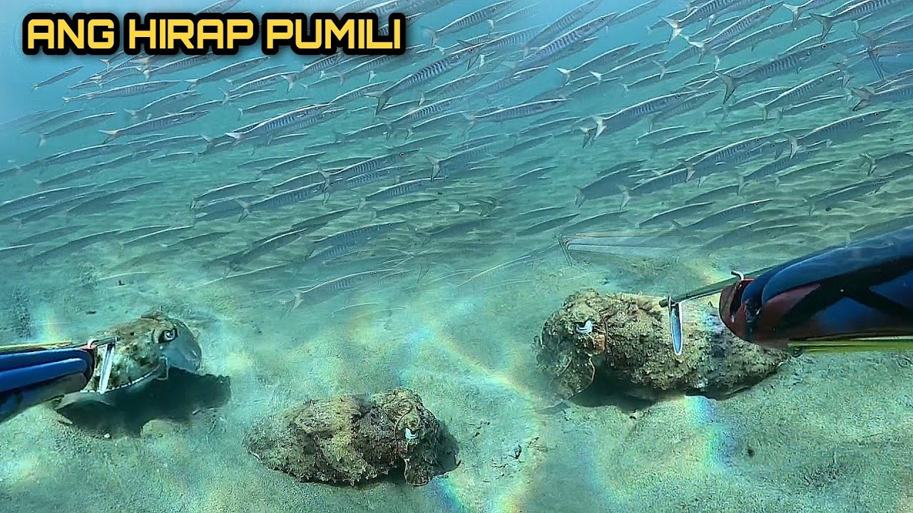 Bagulan at Kawan ng BARRACUDA Spearfishing - YouTube
