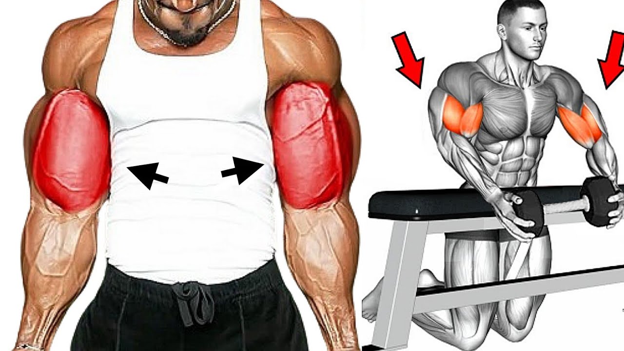 Build Wider Bicep With This Workout Highly Effective - YouTube
