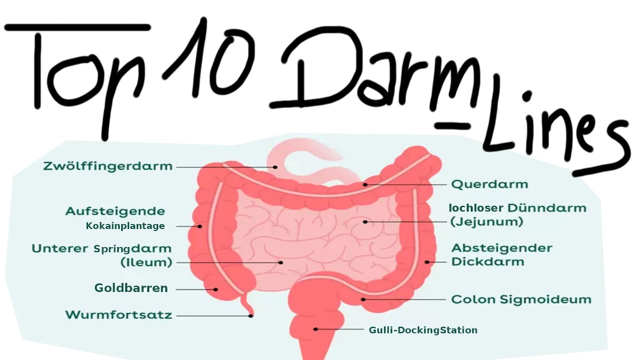 Top 10 Darm-Lines von Deutschrappern - YouTube