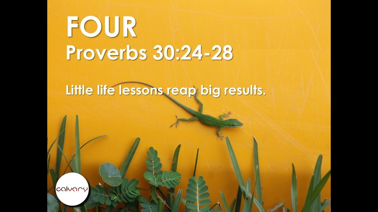 Four | Proverbs 30:24-28 | June 16, 2024 - YouTube