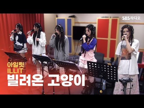[LIVE] 아일릿(ILLIT) - 빌려온 고양이(Do the Dance) | 웬디의 영스트리트