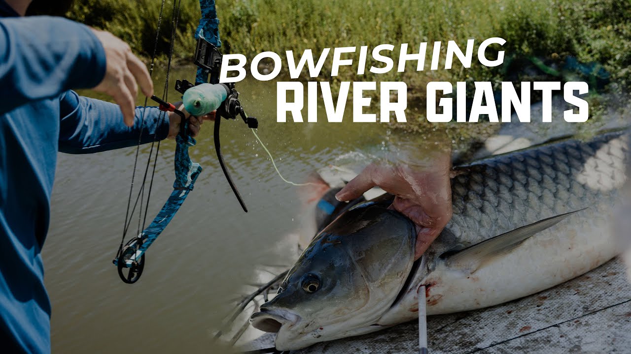 BOWFISHING for INVASIVE GIANTS on the Missouri River (Common/Grass/Buffalo Carp) - YouTube