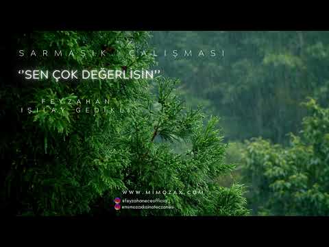Sarmaşık Çalışması - FEYZAHAN IŞILAY GEDİKLİ