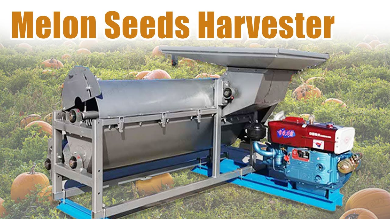 Efficient Melon Seeds Removal Machine: Get Seeds in Seconds! #pumpkin # ...