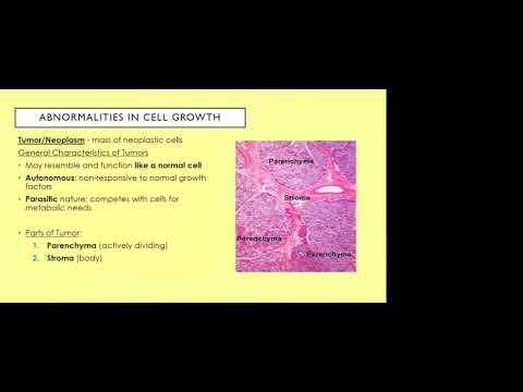 ABNORMALITIES IN CELL GROWTH AND SOMATIC DEATH - YouTube