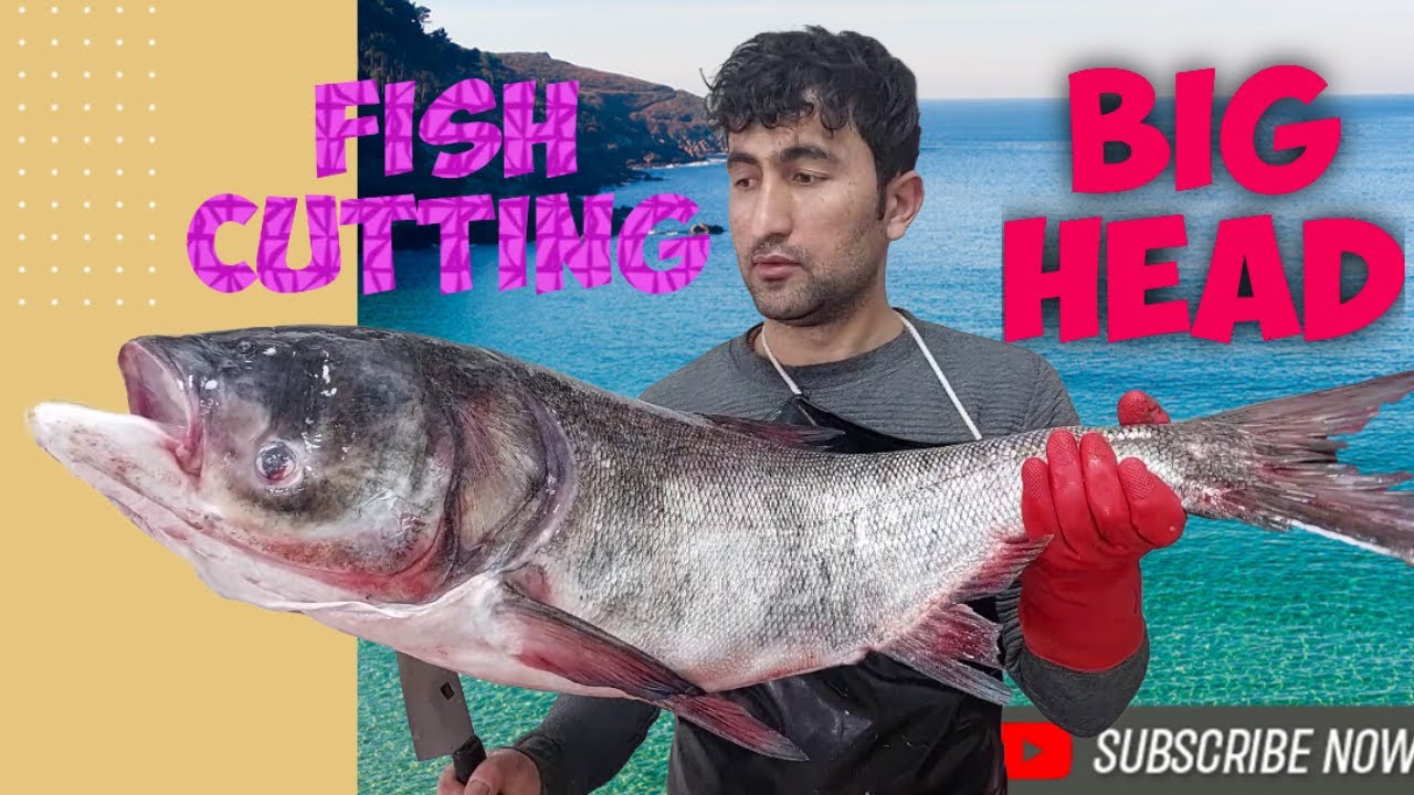 Big Head Carp Fish Cutting | Amazing Fish Cutting Skills - YouTube