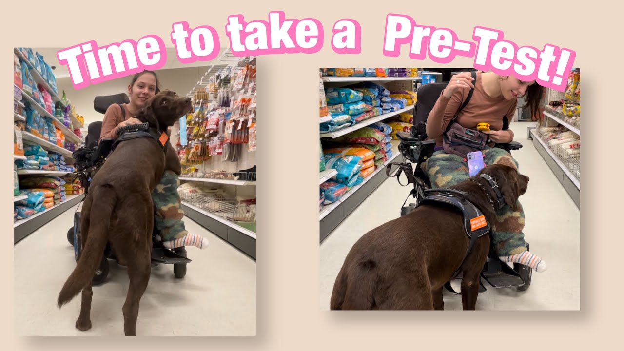 Time to take a practice test service, dog training, vlog - YouTube