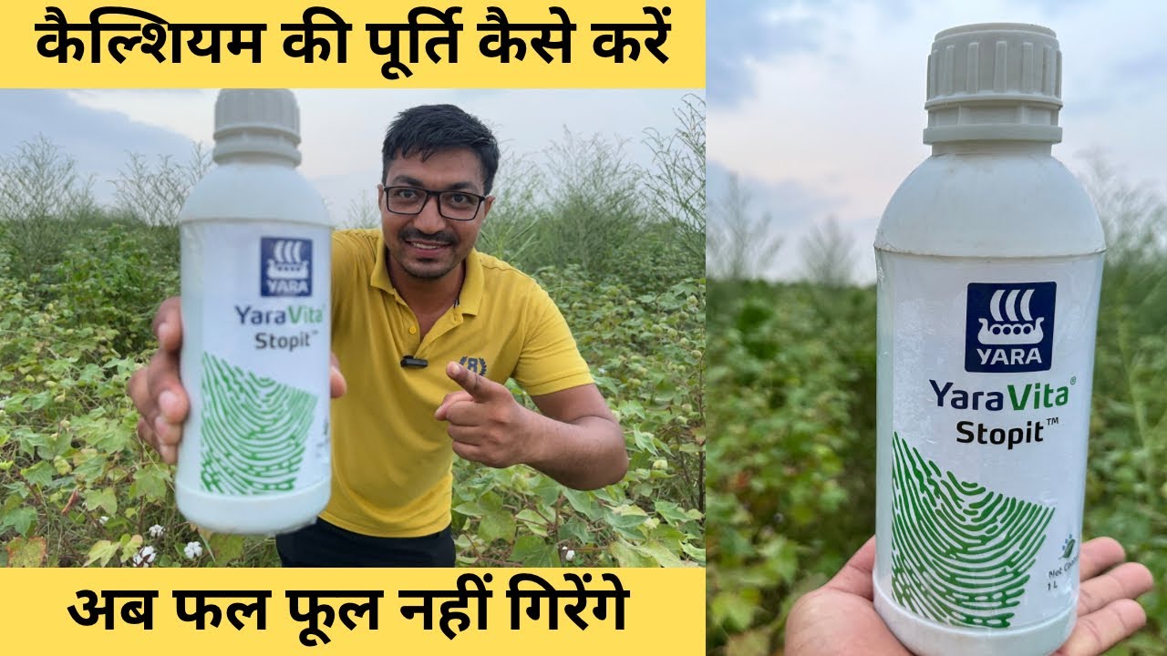 फ़सलो में कैल्शियम की कमी को कैसे पूरा करें Yara Vita Stopit 11% ...