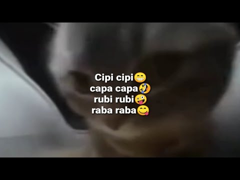 (New Meme). Cipi Cipi Capa Capa😁, Rubi Rubi Raba Raba😋... - YouTube