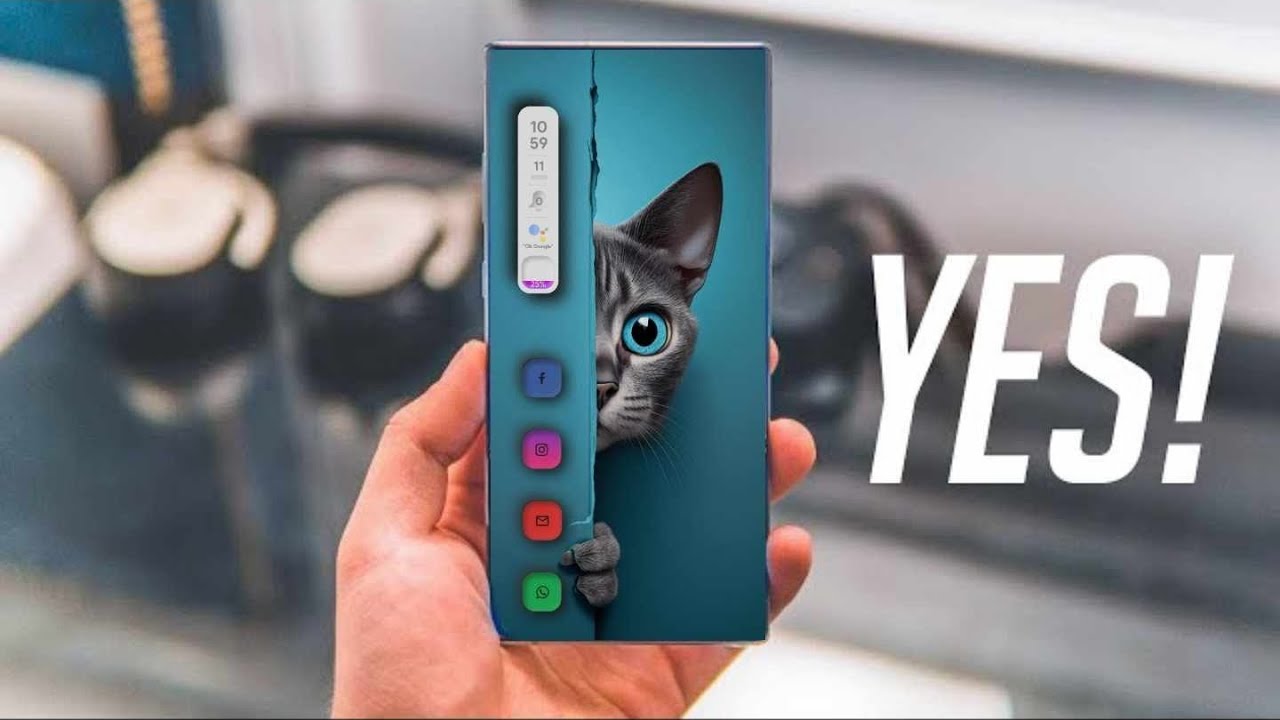 New Cat Setup - YouTube