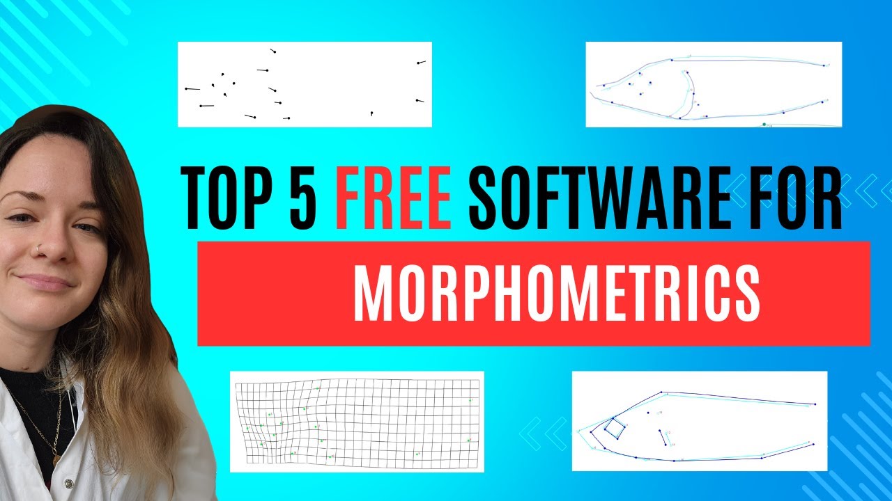 5 Free Shape Analysis Tools - YouTube