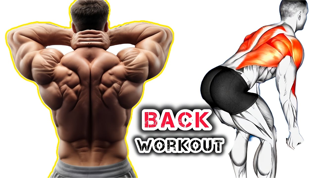 5 EASY BACK EXERCISES FOR BEGINNERS.Back Exercise - YouTube