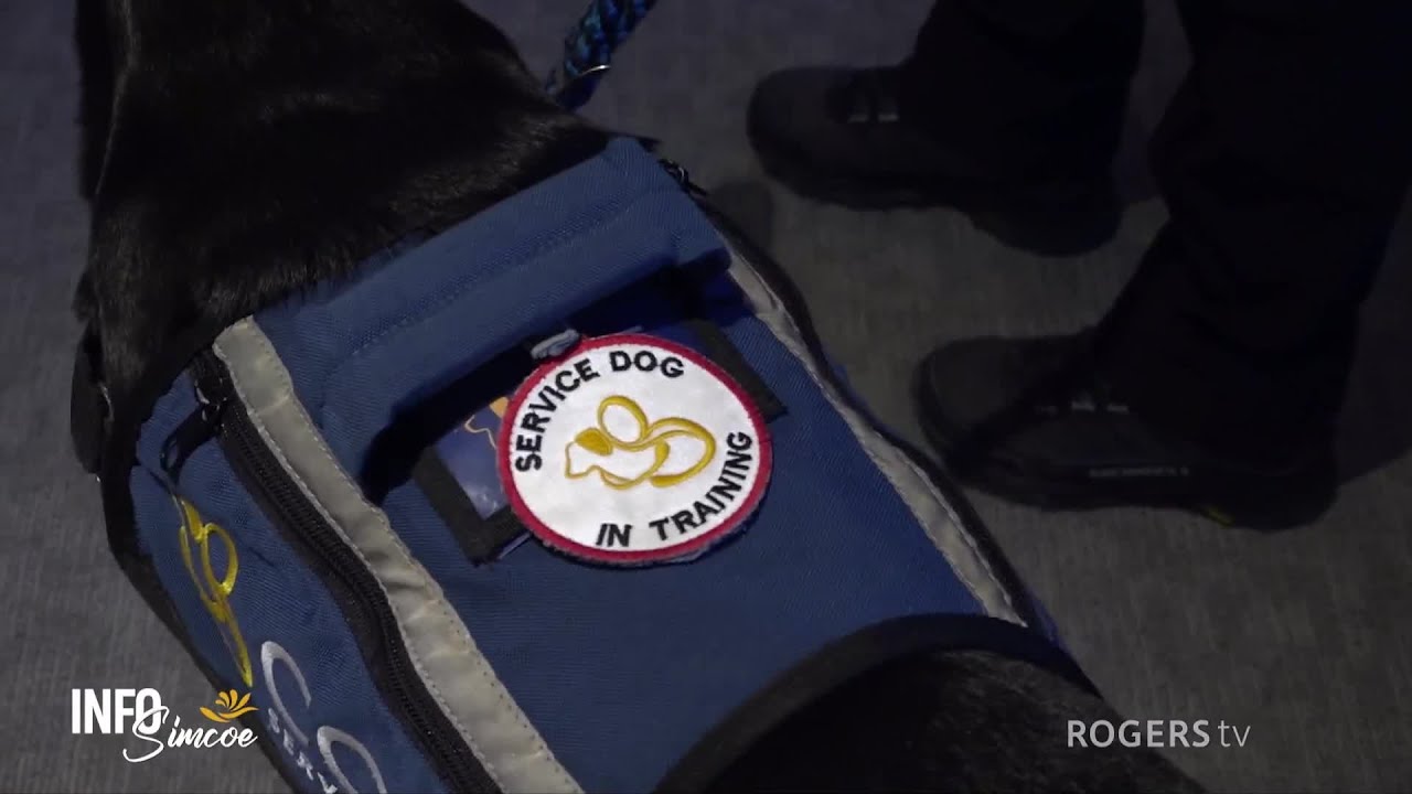 INFO Simcoe | Cope Service Dogs - Funny Bone Comedy Event | Rogers tv ...