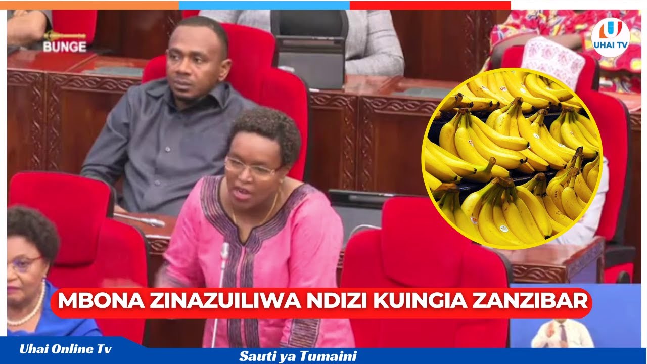 MBONA NDIZI ZILIENDA ZANZIBAR ZIKARUDISHWA - YouTube