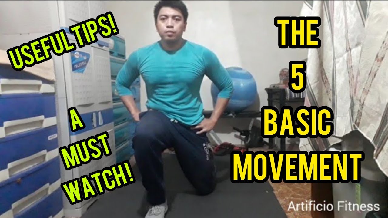The 5 Basic Movements That You Need To Apply For Your Fitness Program ...