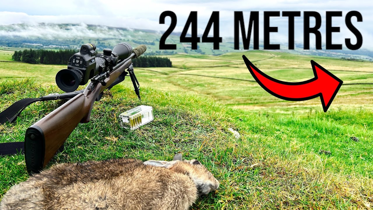 244 Metres | Extreme Long Range Rabbit Shooting | .17 HMR shot - YouTube