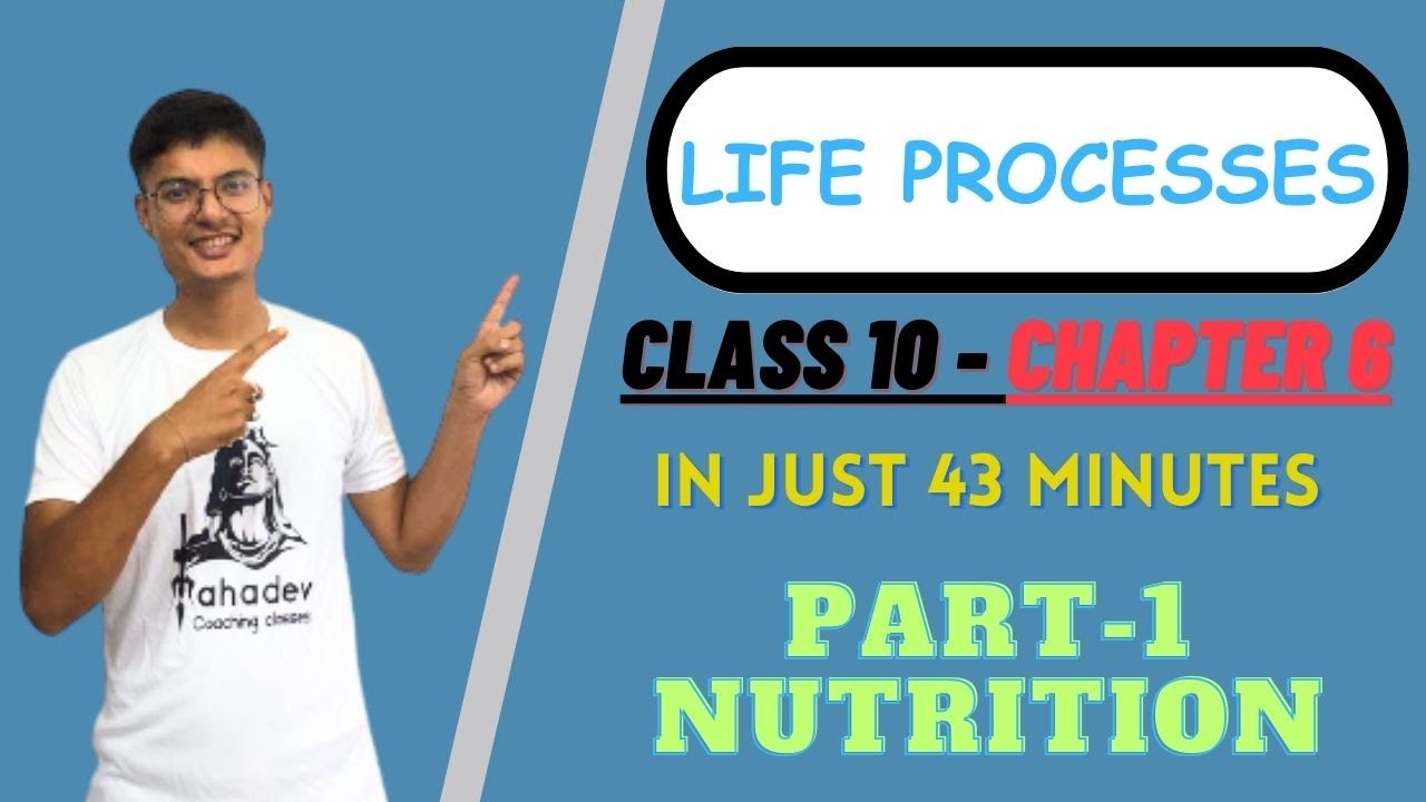 life processes class 10(P-1 nutrition), life processes complete in one ...