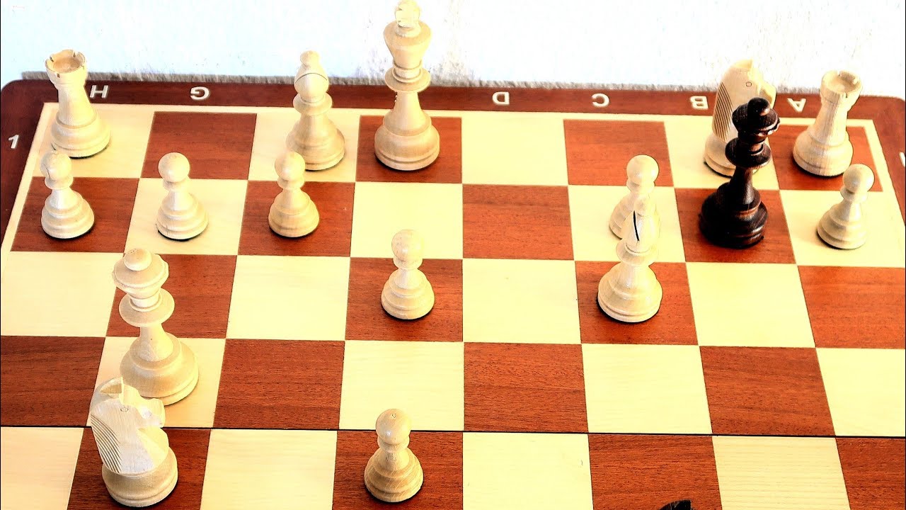 kids chess puzzle 1 move - YouTube