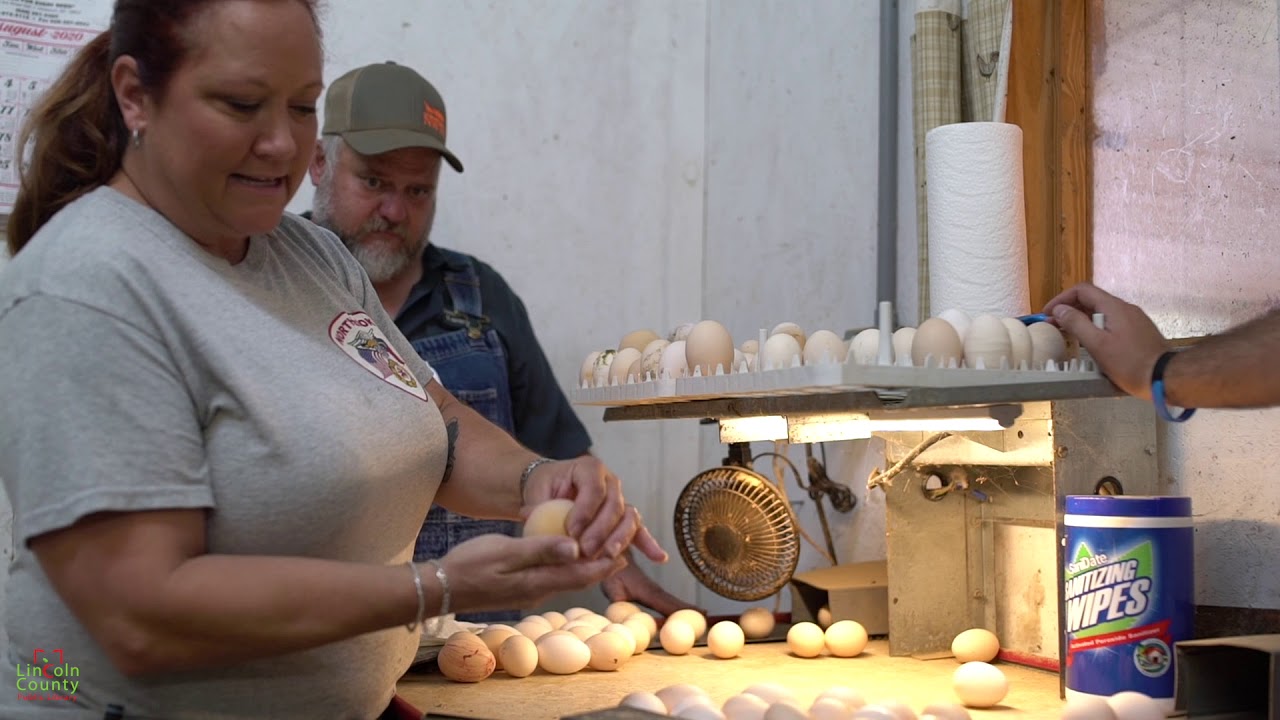 Virtual Field Trip: Houser Chicken Farm - YouTube