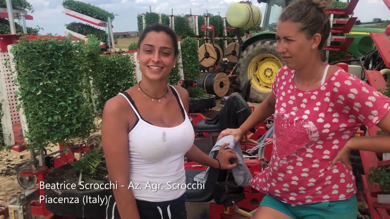 TESTIMONIAL CHECCHI & MAGLI - Beatrice Scrocchi - Az. Agr. Scrocchi ...