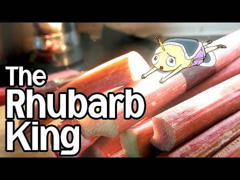 Rhubarb King | 2D animated short | Jesters Animation - YouTube