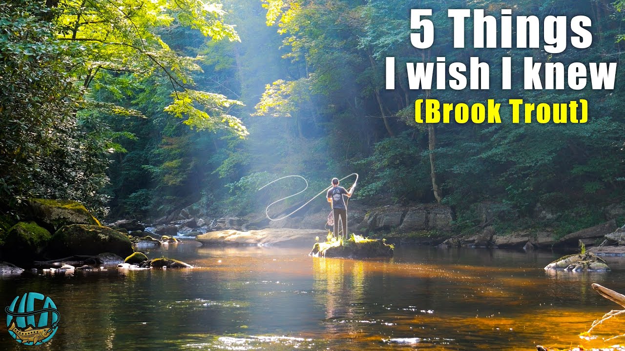 Fly Fishing for Beginners || 5 Things I Wish I Knew When I Started Brook Trout Fishing! - Fishing