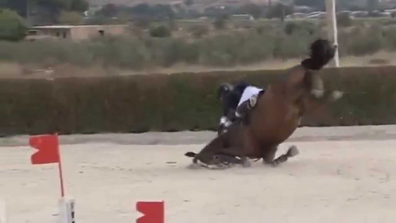 Epic horse fails - YouTube