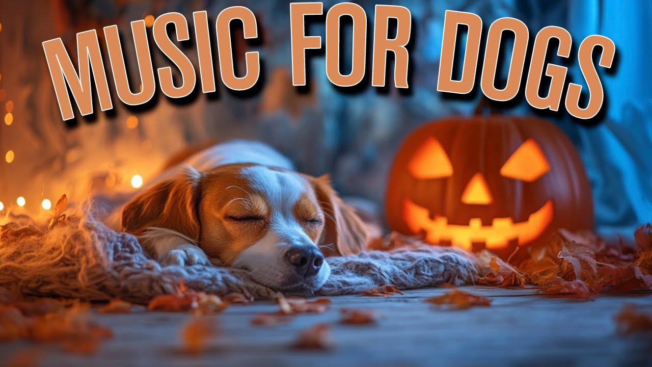 Spooky Loop Halloween Dog Music: Anti Noise Anxiety Music for Dogs ...