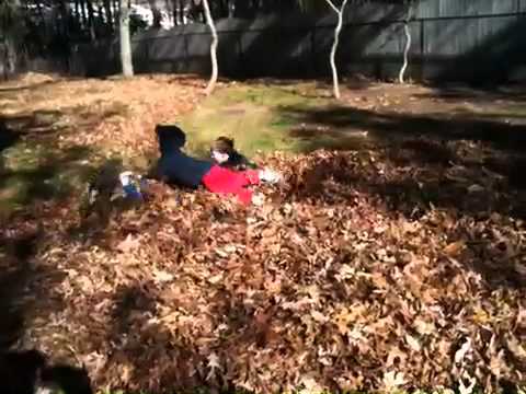 Leaf fight - YouTube