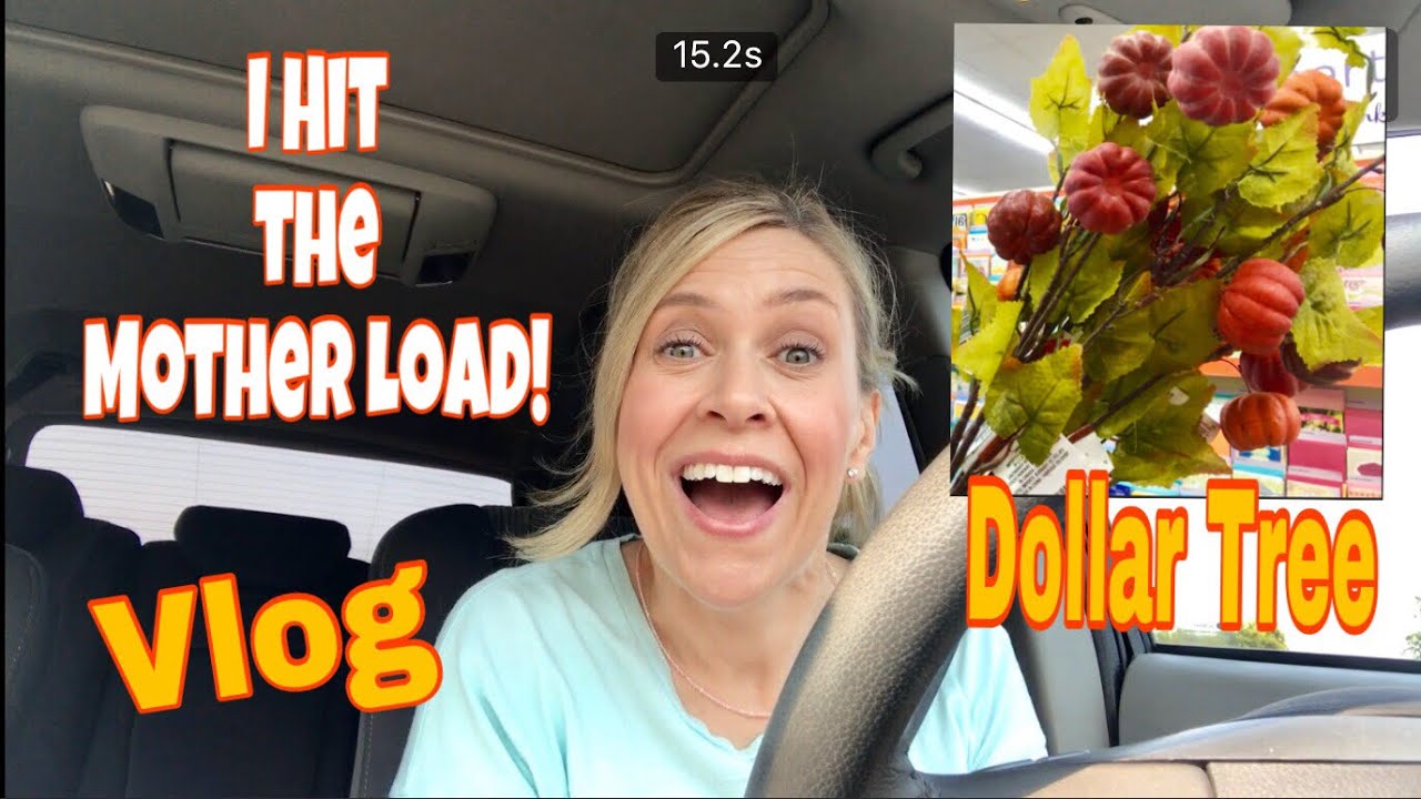 I HIT THE MOTHER LOAD! | Vlog | August 10, 2018 | Traci B - YouTube