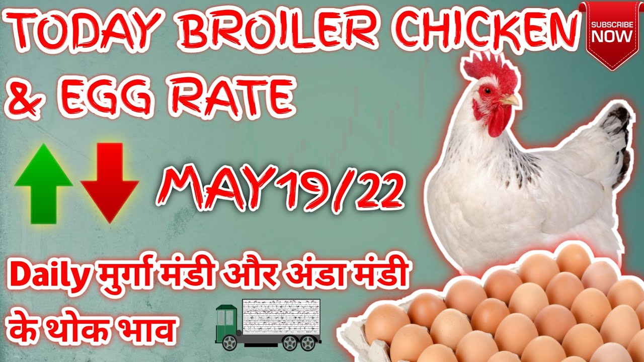 Today Poultry rate MAY19/22 Broiler chicken & Egg rate - YouTube