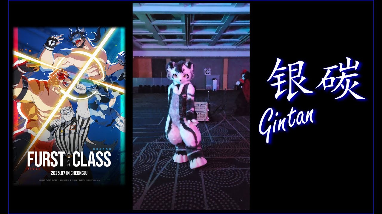 【Fursuit Dance】银碳Gintan during 'Furst Class' furry convention 2025-07 ...