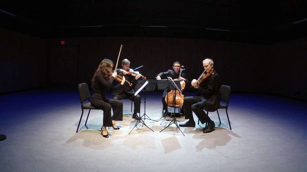 Landscapes: A Northern Odyssey Concert Sampler by Borealis String Quartet - YouTube