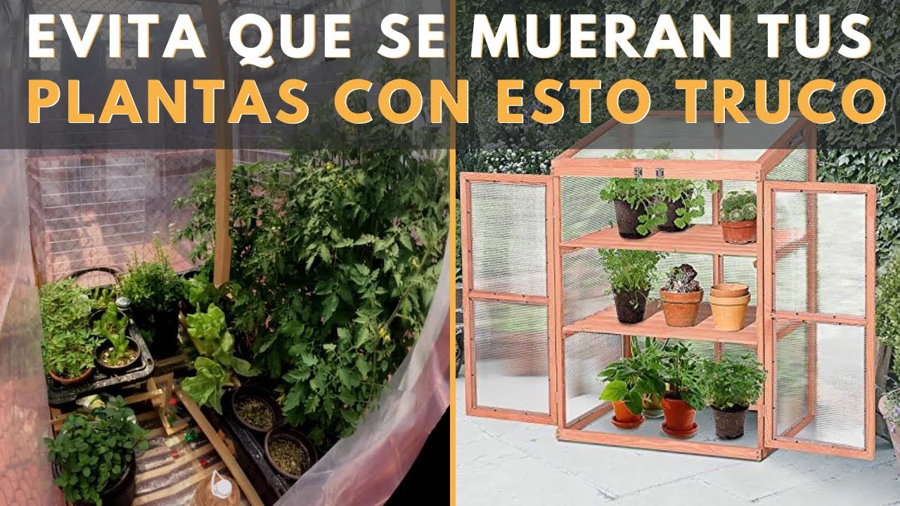 Cómo Hacer un Invernadero Casero en tu Terraza: Ideas de Invernaderos ...