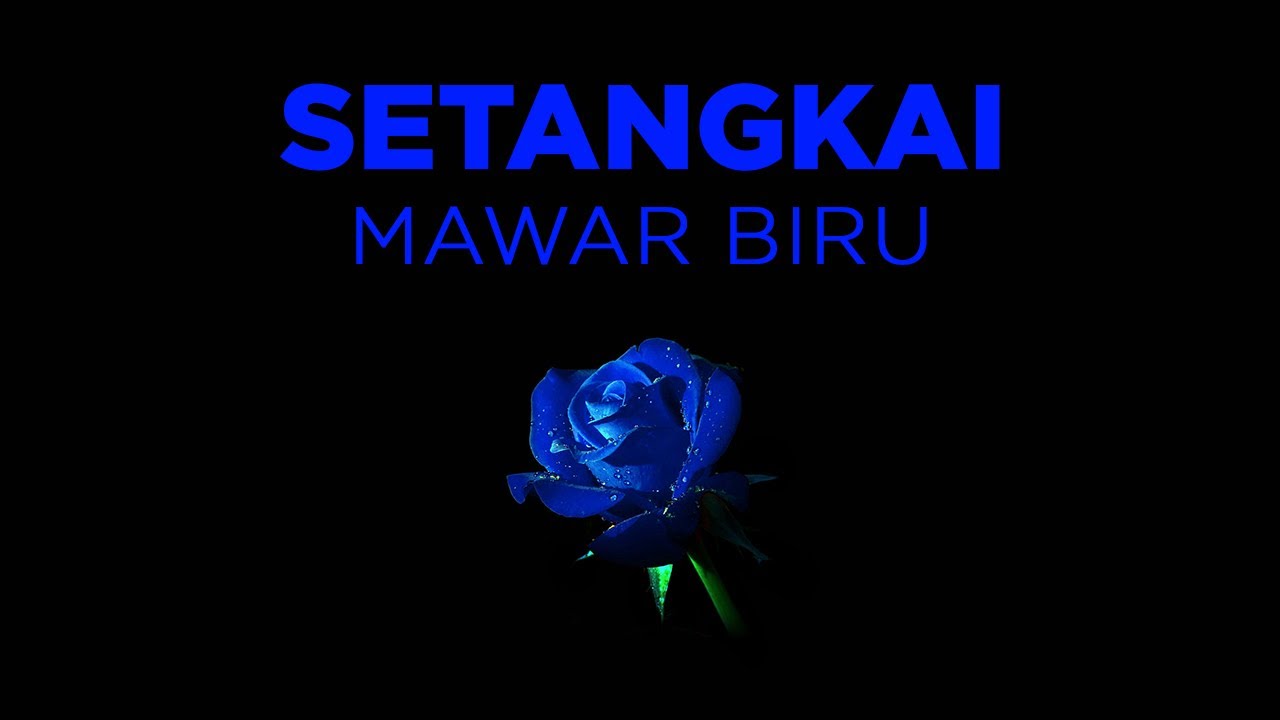 Setangkai Mawar Biru | Yurilisme - YouTube