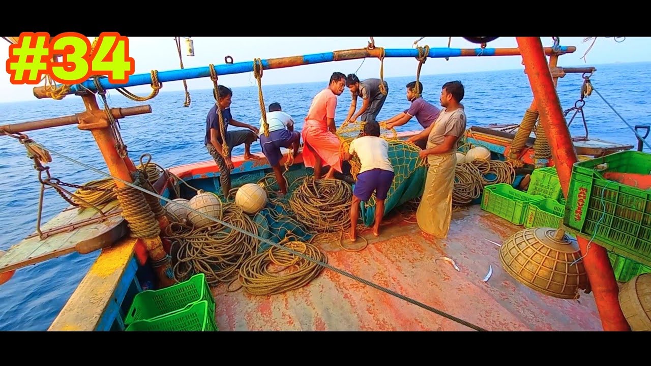 Pate 34 10 MILLION BIG FISHES AND SAMUNDAR River Fish Everyday caught ...