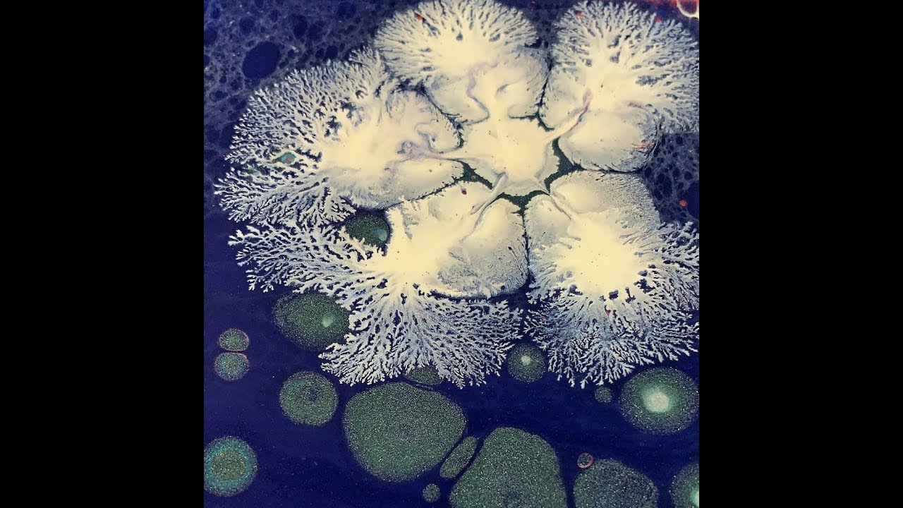 Acrylic Dendrite Fractals using HIGH FLOW Technique - YouTube