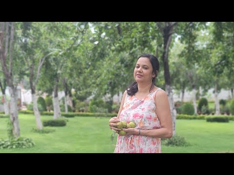 Lake View Resort Netarhat #Jharkhand #travel - YouTube