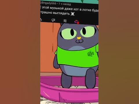 кот в лотке - YouTube