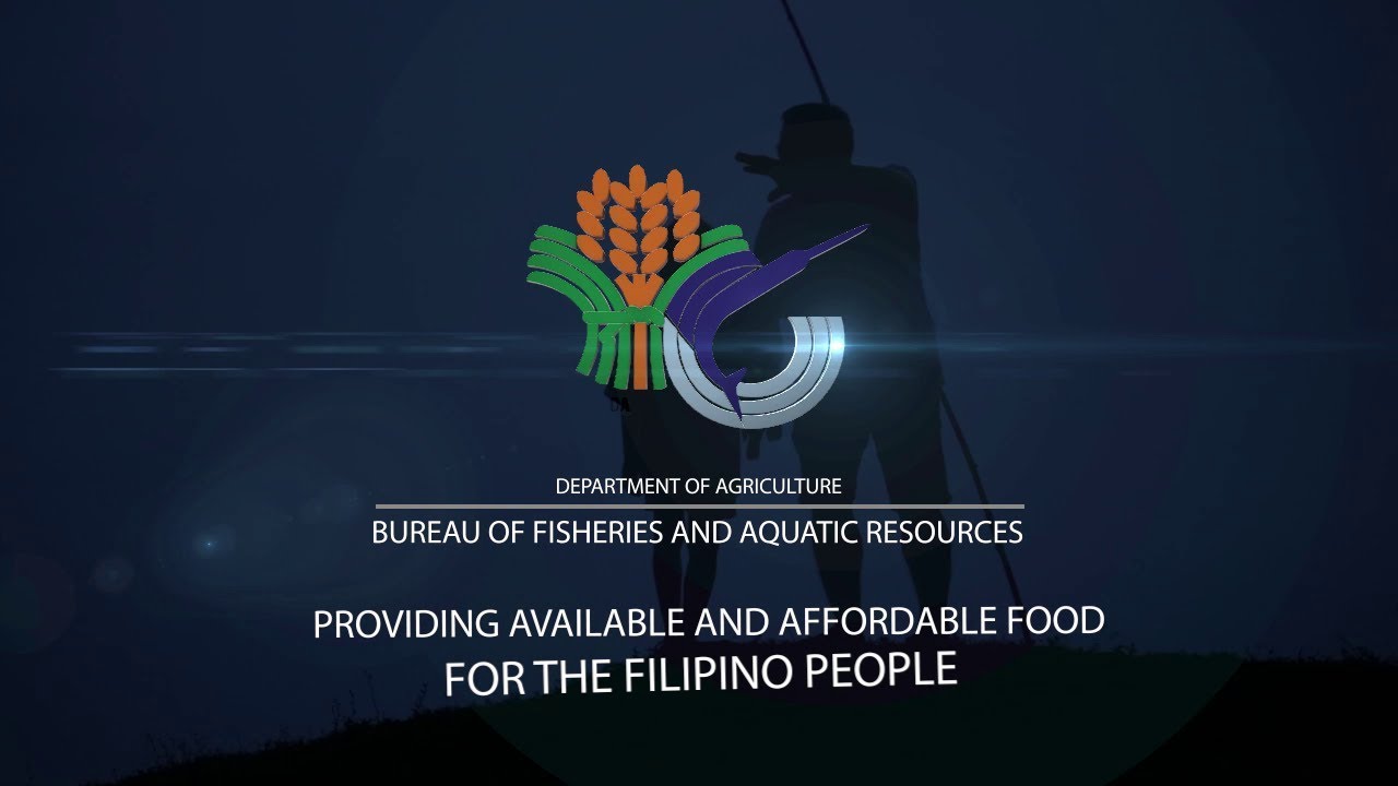 DA-Bureau of Fisheries and Aquatic Resources Institutional Video - YouTube