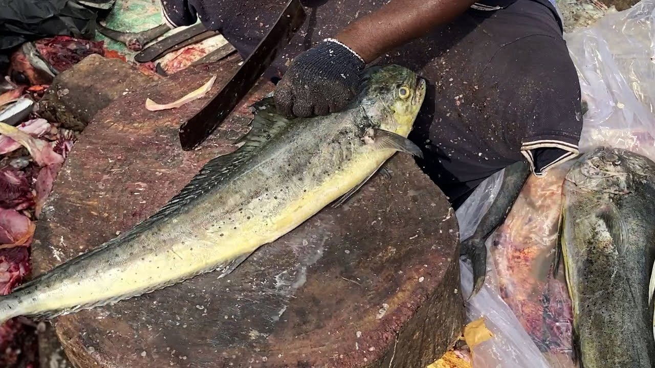 Parala fish boneless cutting in Kasimedu fish market - YouTube