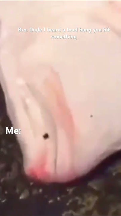 I stubbed my toe - YouTube