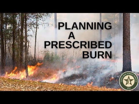 How does a burn manager plan a prescribed burn? - YouTube
