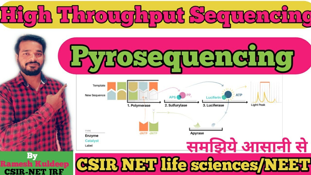 Pyrosequencing | High throughput sequencing Next generation DNA ...