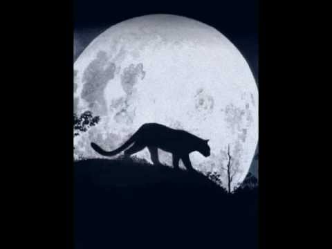 FLUKE ~ KITTEN MOON