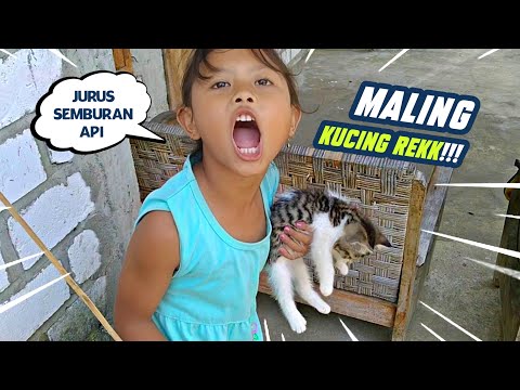 💥DUA BOCIL KEPERGOK SAAT MAU MENCURI KUCING REK!!!